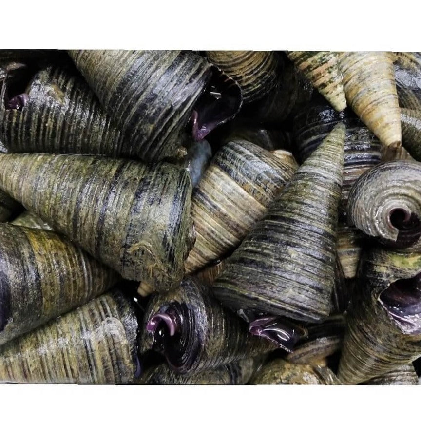 Bagongon per pack (200g) – Bagsakan by Edd's